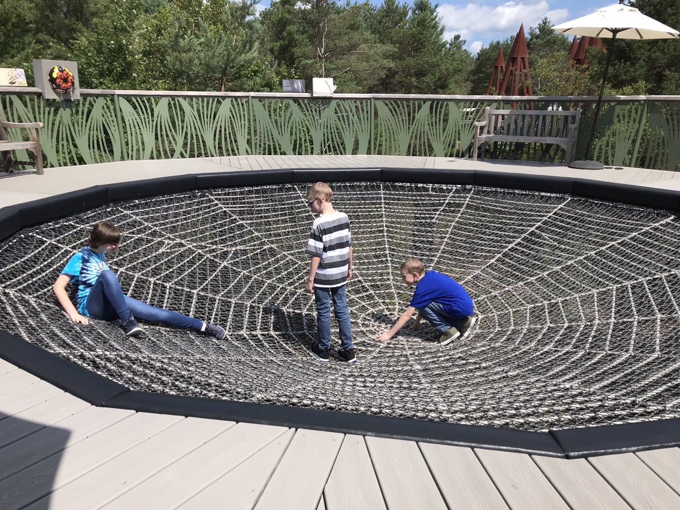 The Wild Walk, Adirondack | Bobbieswaterfalls
